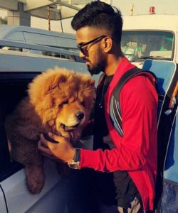 100+ Kl Rahul New Hairstyles Photos | Haircut 2025 - TailoringinHindi