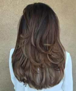 50+ Step Cut Hairstyle (2026) - TailoringinHindi