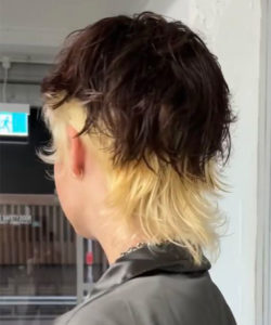 100+ Mullet Hairstyle (2025) Mens - TailoringinHindi