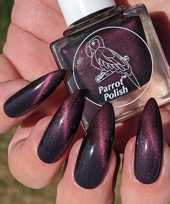 Explore the Magic of Magnetic Nail Polish Designs - TailoringinHindi